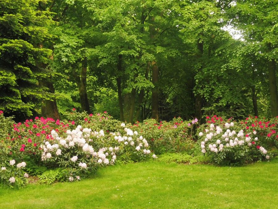 Dobrzyca. Park wokół Muzeum Ziemiaństwa - Otwarty Przewodnik Krajoznawczy